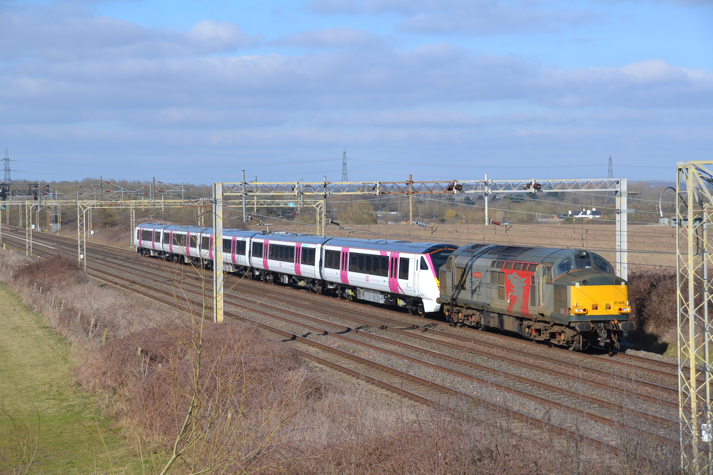 Ledburn tree cutting, Feb 2023 – Leighton Lists